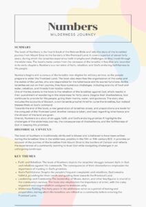 Numbers Bible Summary Sheet Printable - Free Bible Worksheets